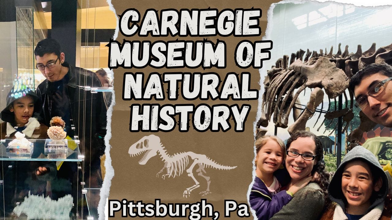 A Day at the Carnegie Museum of Natural History: A Family Field Trip ...